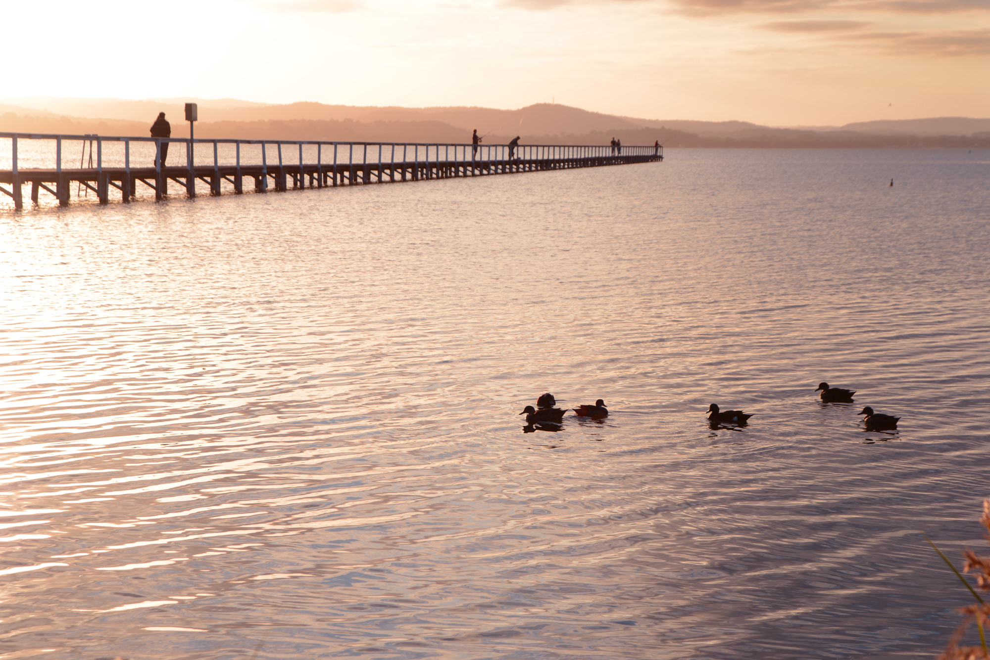 The First Challenge…….continues | whispers from the jetty